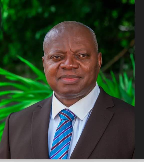 "The park would be replanted at the end of the construction project ...