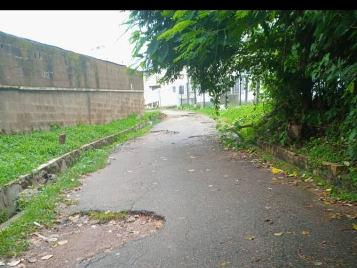 After IndyPress Story, Fallen Tree Along Jaja Health Center Gets ...